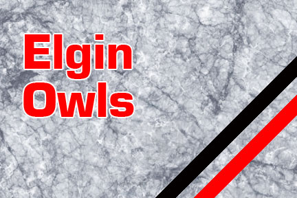 Elgin Owls