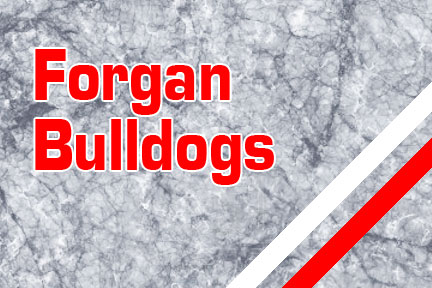 Forgan Bulldogs