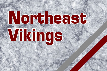 Northeast Vikings