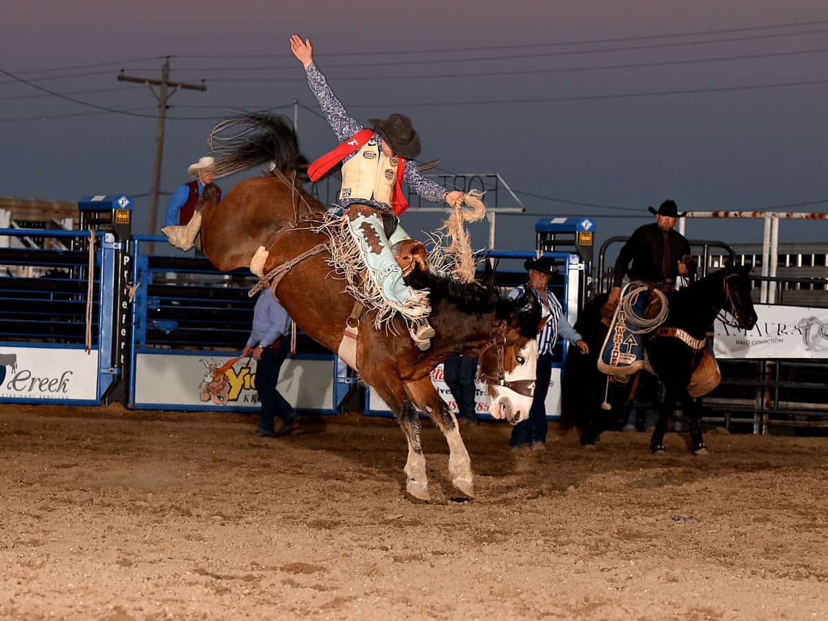 Jade Taton wins two event titles and All-Around at Fort Hays